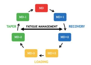 Periodisation for Soccer: Optimizing Training Microcycles