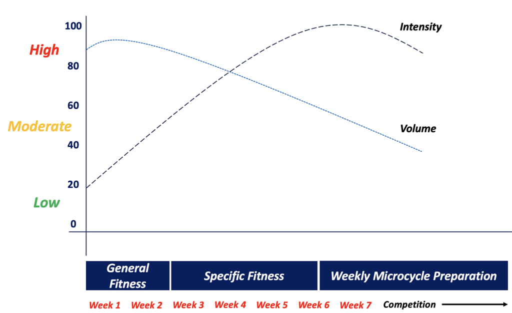 Elite Off-Season Training Programs for Soccer Players